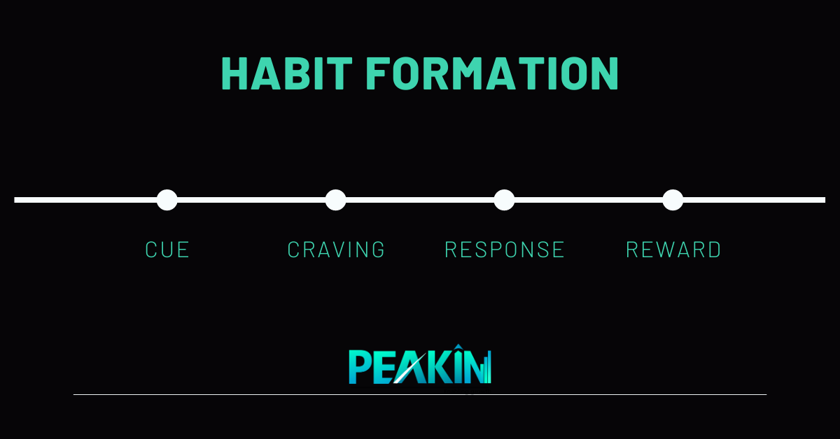 Habit Formation – How Habits Are Formed and How Good Habits Can Impact ...