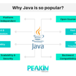 JAVA: Ruling The Tech Industry For About Two And A Half Decades! - Peakin
