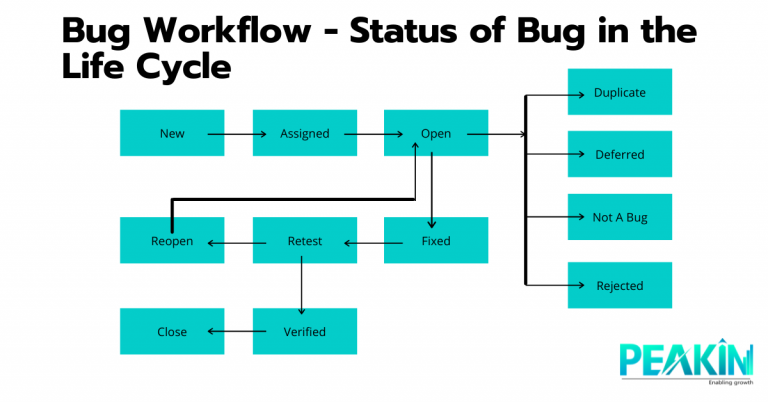 Defect Life Cycle in Software Testing - Peakin